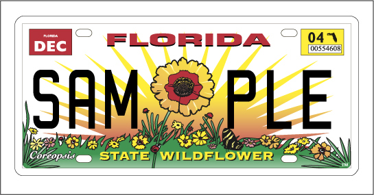 » New Wildflower Classroom Activity Guide available | Florida ...